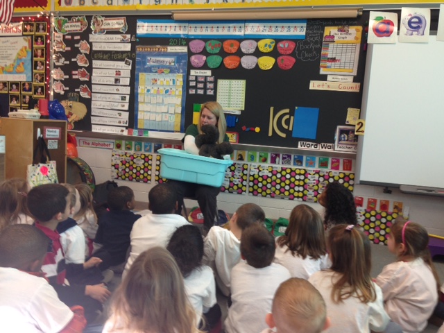 Kindergarten Habitats